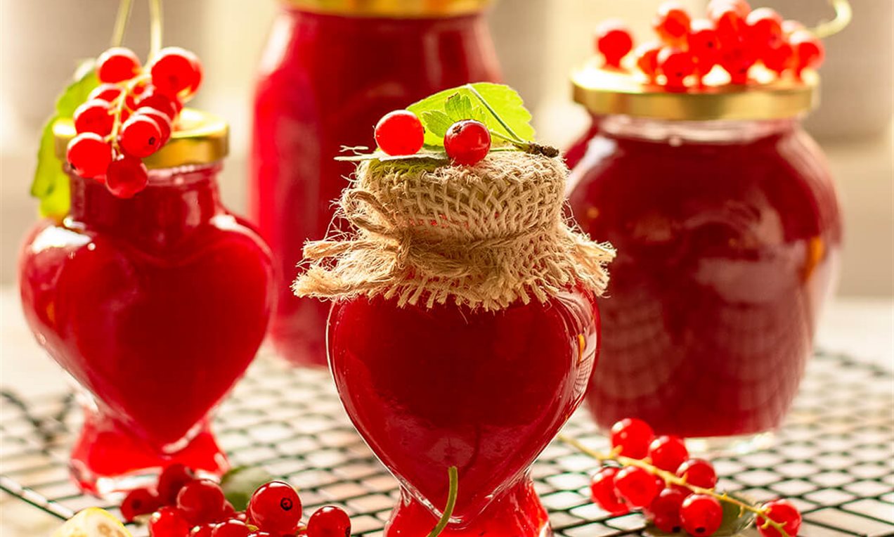 Džem od ribizle Recept | Dr. Oetker